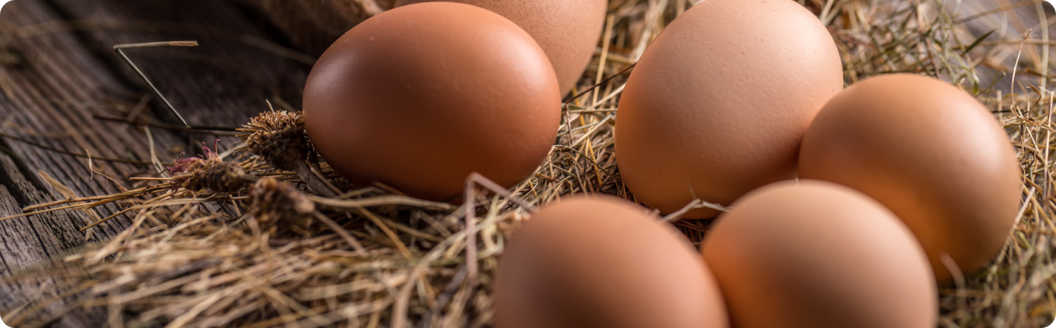 TAMACCO – 山陽化工株式会社